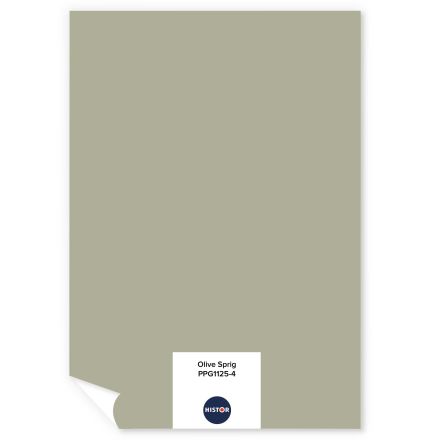 Histor ColorTester zelfklevende kleurstaal PPG1125-4 Olive Sprig kopen ...